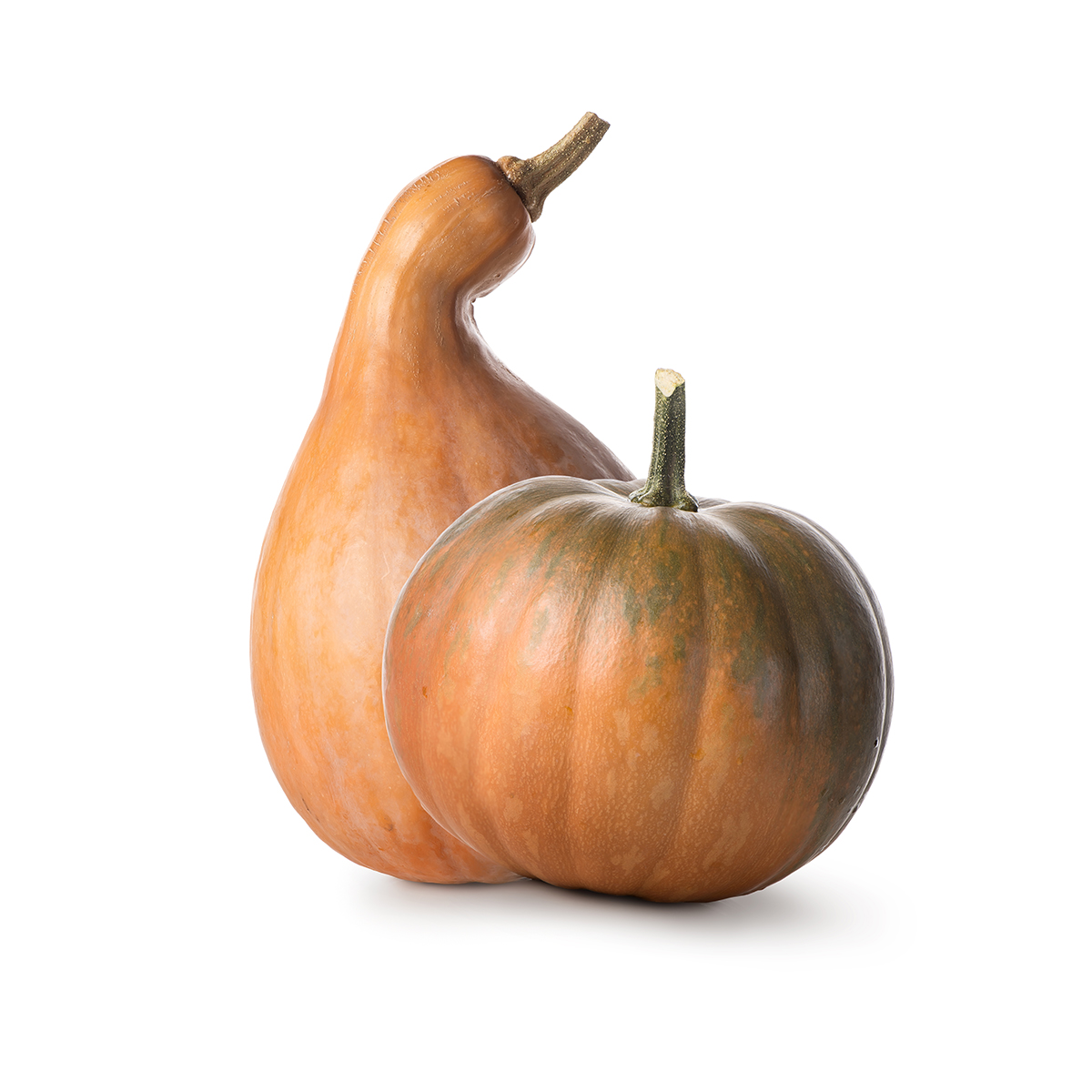 Pumpkin - L'ortolano
